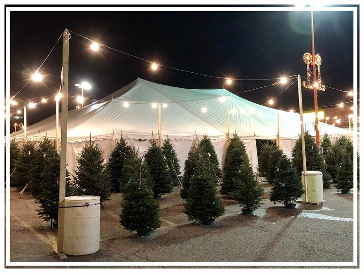 Party Tent Rentals for all Events | Hank Parker's and All Season Rental